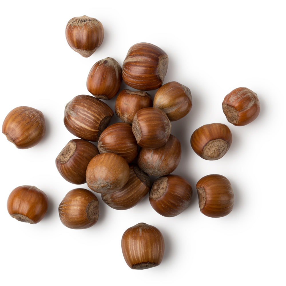 Toasted Hazelnut Oil | Lush Fresh Handmade Cosmetics Philippines