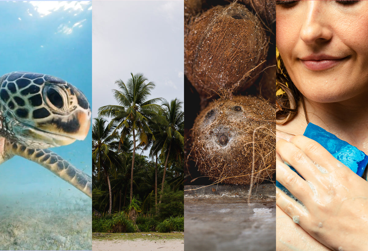 Biodiversity | Lush Fresh Handmade Cosmetics Philippines