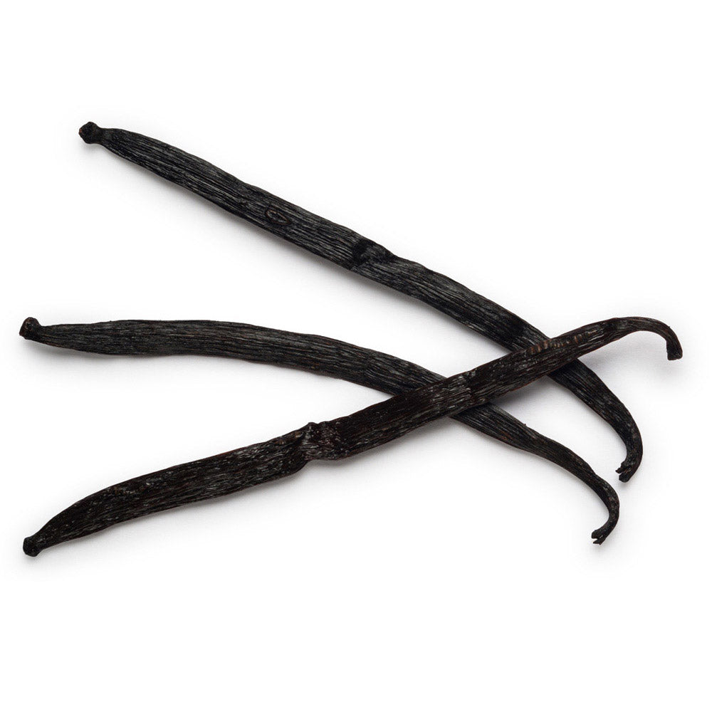 Fair Trade Vanilla Absolute | Lush Fresh Handmade Cosmetics Philippines