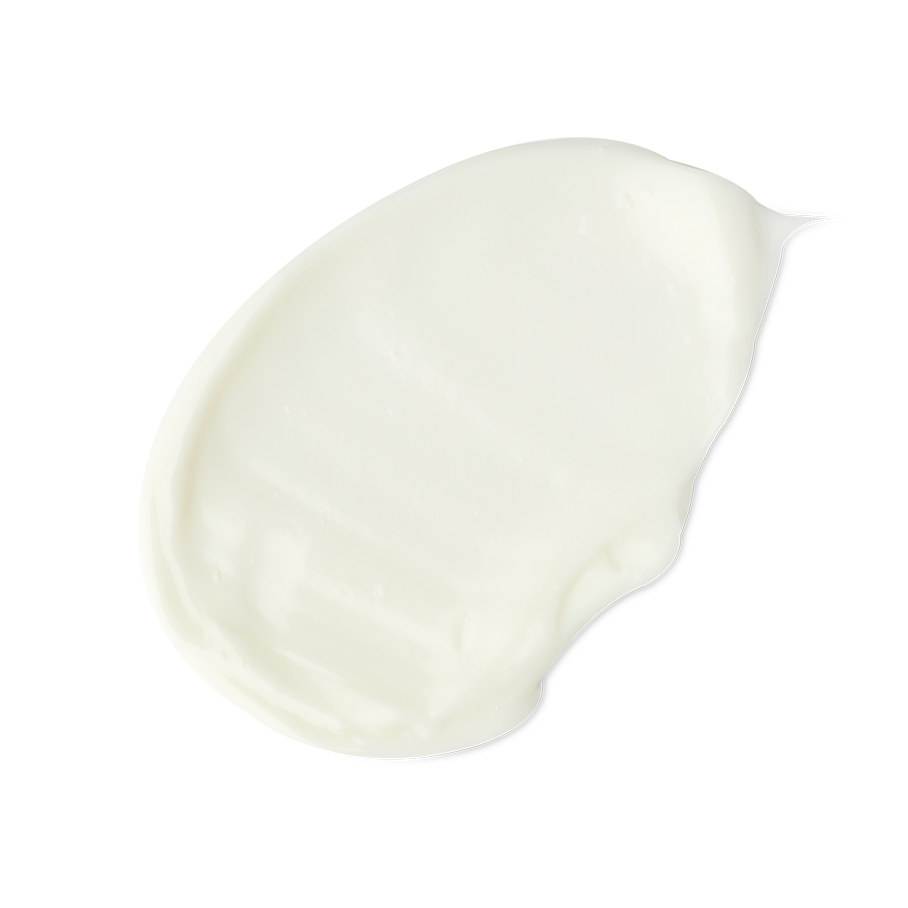 Coconut Butter | Lush Fresh Handmade Cosmetics Philippines